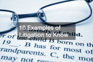 10 Examples of Litigation to Know - Senerius Law Firm