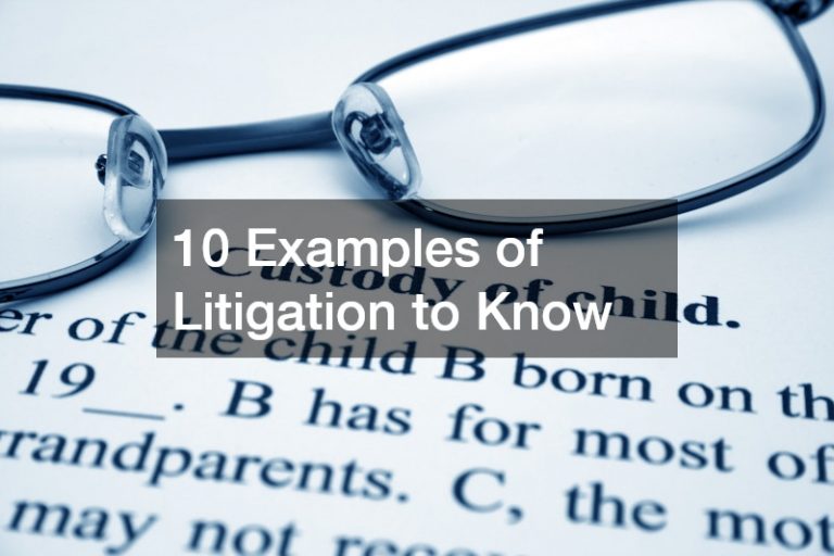 10 Examples of Litigation to Know - Senerius Law Firm